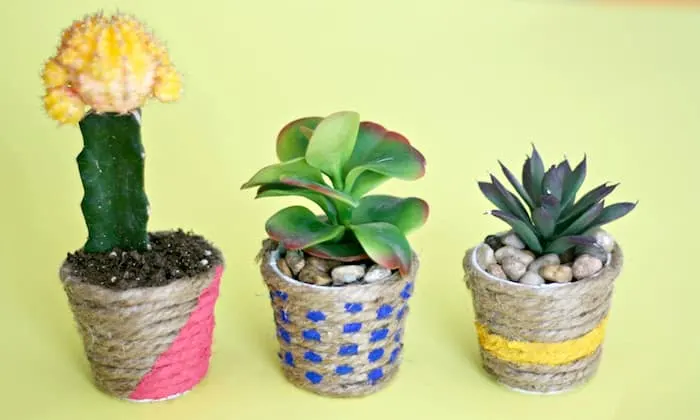 Mini Planters for Your Tiny Succulent Garden - DIY Candy