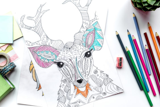 Coloring For Adults 101: Your Complete Guide - DIY Candy