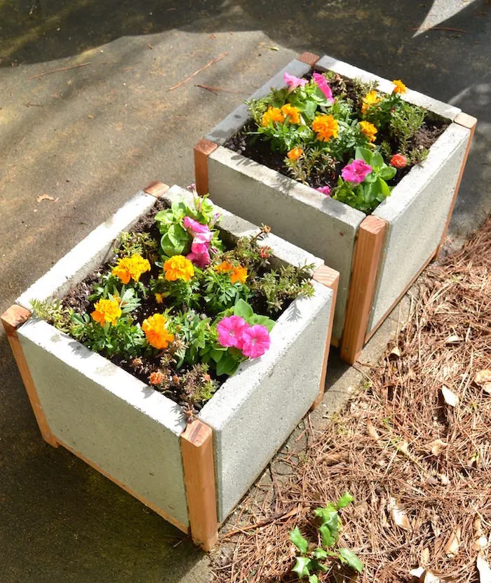 DIY Plant Stands with Free Build Plans - DIY Candy