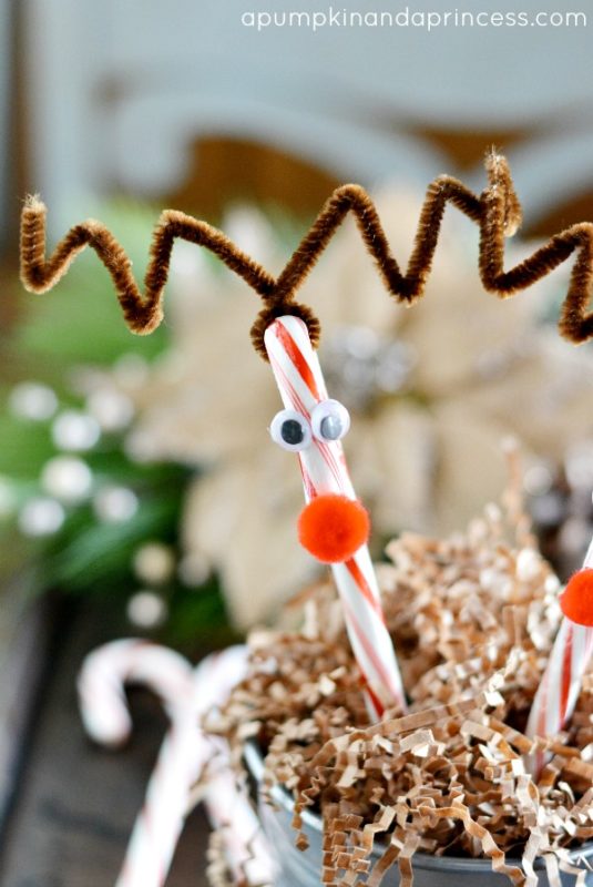 Easy Candy Cane Crafts for Both Kids and Adults! - DIY Candy