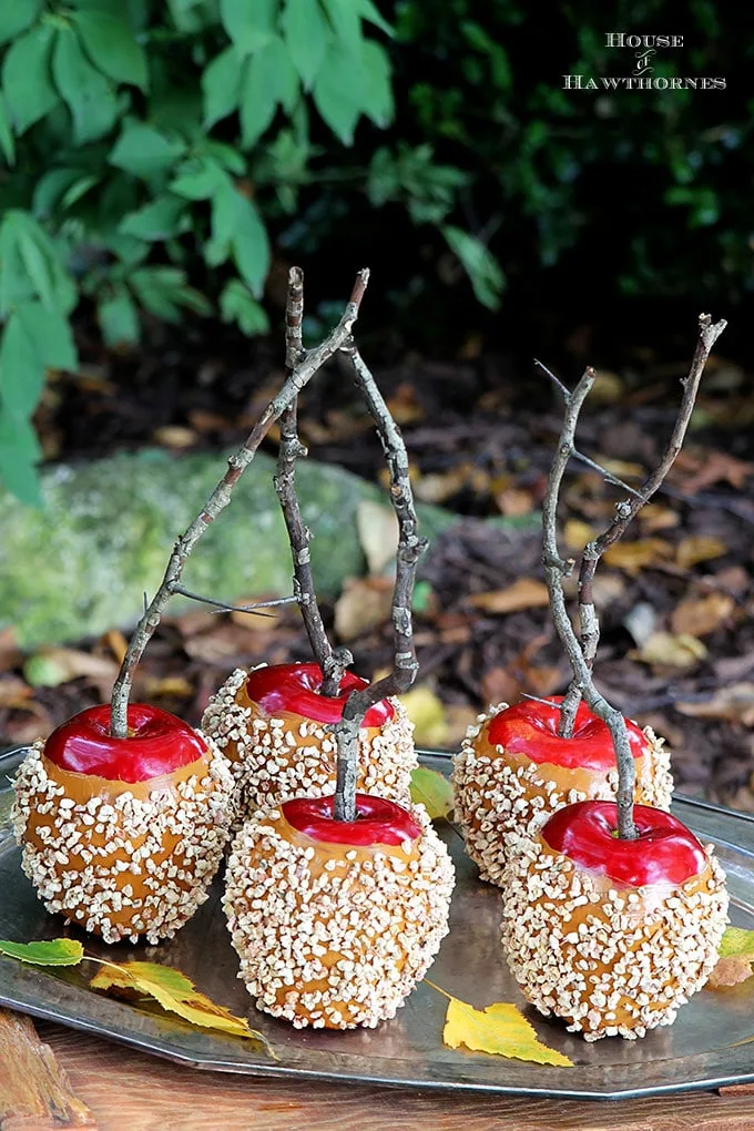 Apple Crafts for All Ages - DIY Candy