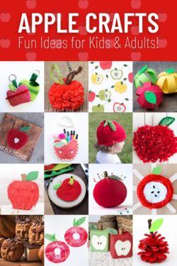Apple Crafts for All Ages - DIY Candy